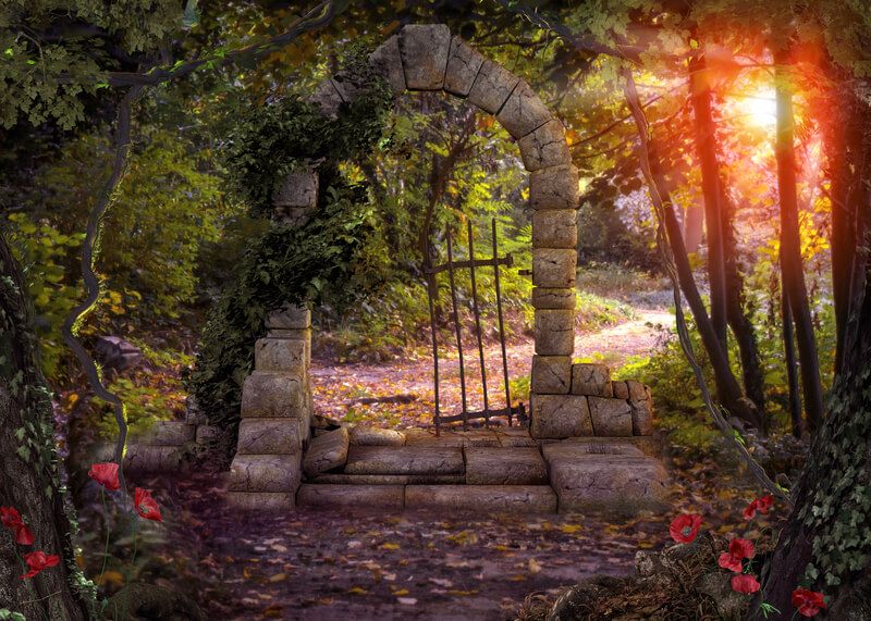 Forêt de Brocéliande - Une aventure Arthurienne en Bretagne - HiDeal